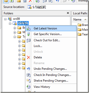 Living with Team Foundation Server Version Control